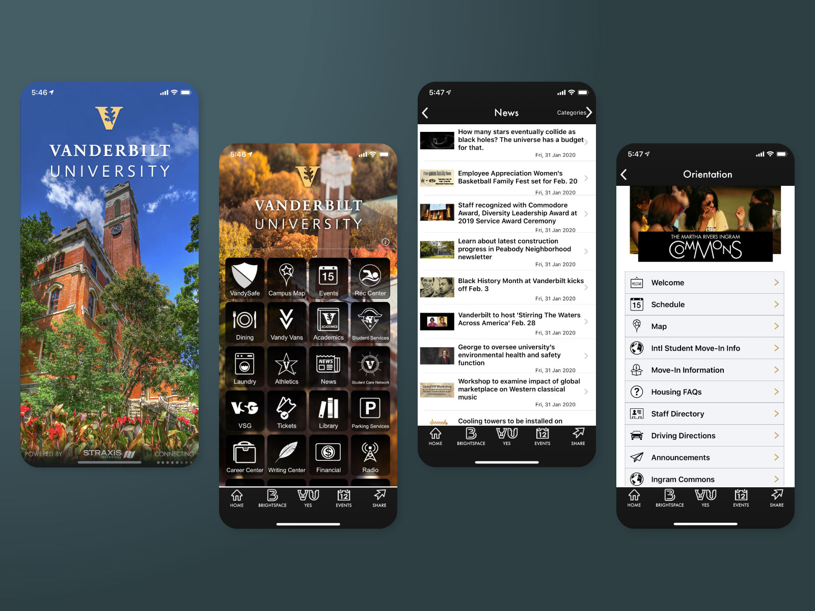 William Fox, Graphic + UI Designer